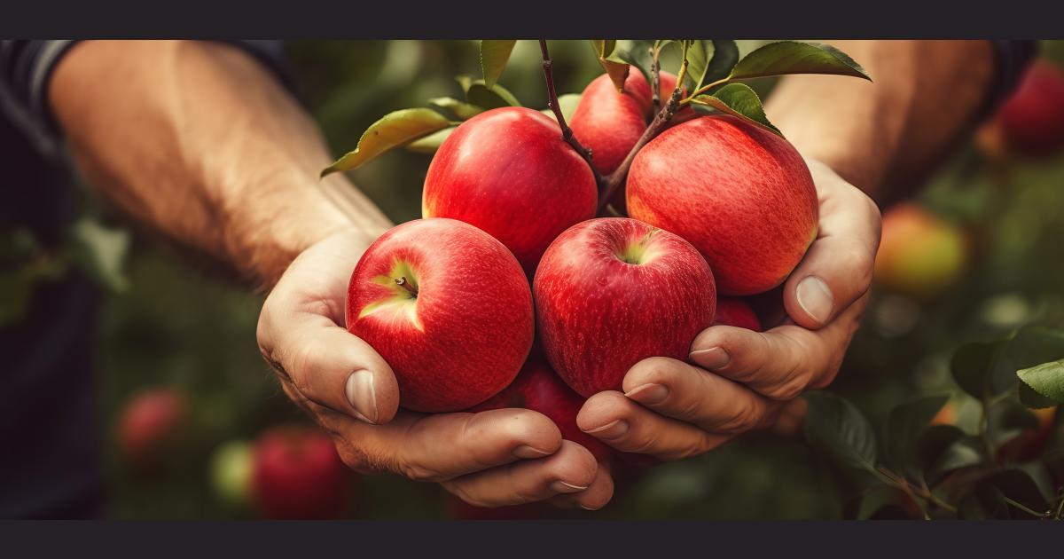 Pome fruits | Fresh Pride